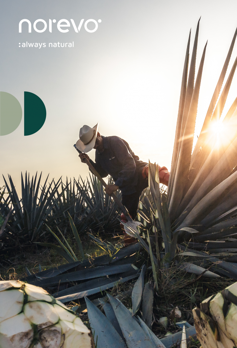 The guide to a more conscious future - Agentur Nur Baute